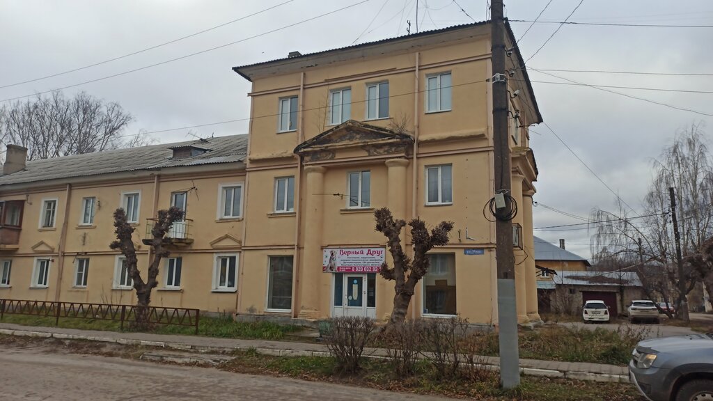 Veteriner klinikleri Верный Друг, Bor, foto