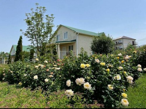 Otel Zolotye Peski, Stavropolski krayı, foto