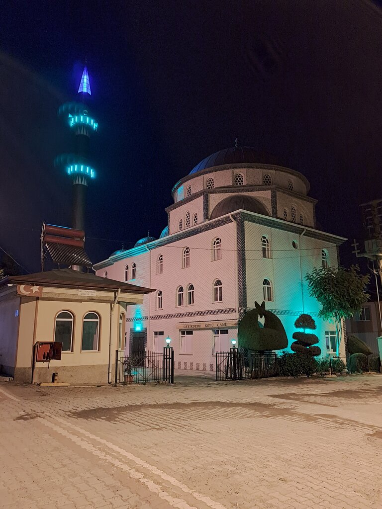 Cami Geyikdere Köyü Cami, Altınova, foto