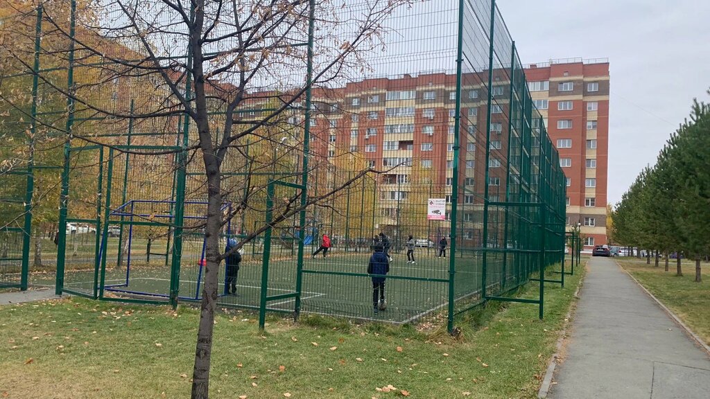 Spor alanı Футбольное поле, Novosibirsk, foto