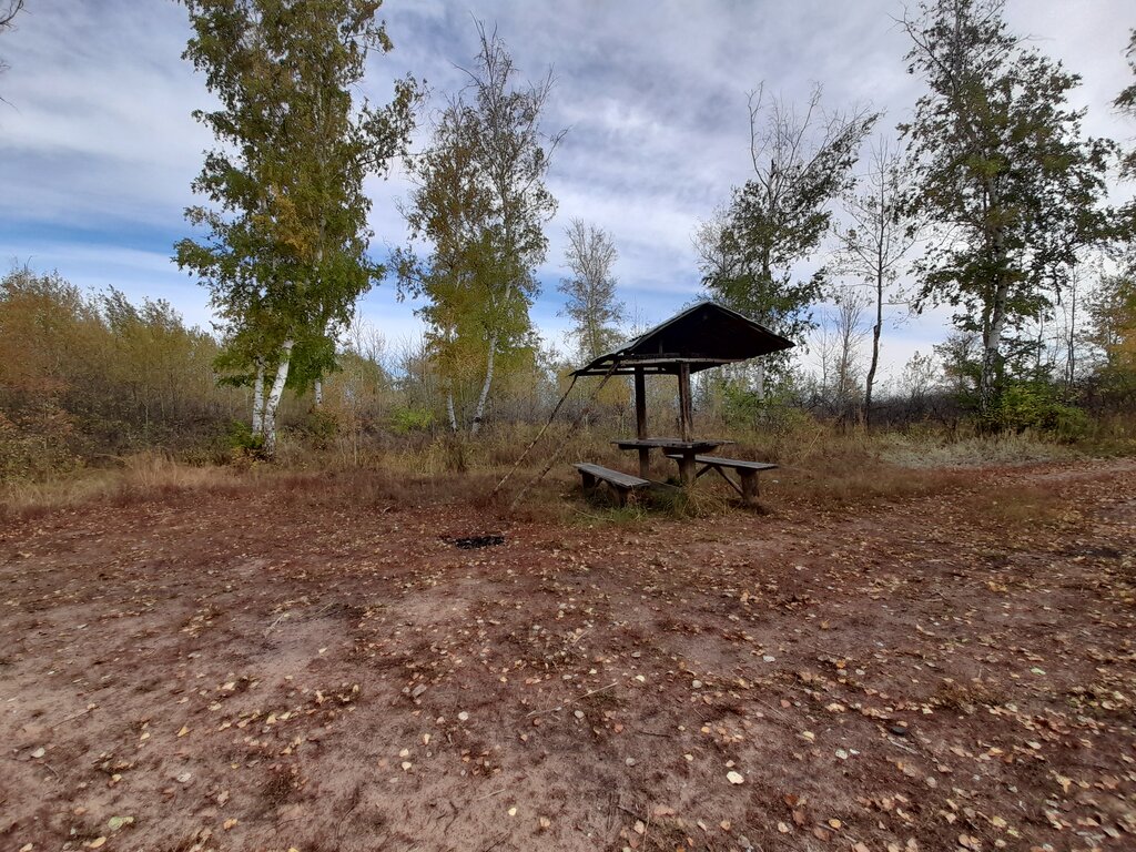 Doğa Соколиные колки, Orenburgskaya oblastı, foto