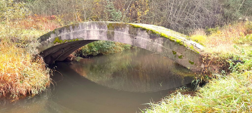 Unutulmaz olayların yeri Плац-театр, Moskova ve Moskovskaya oblastı, foto