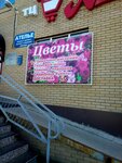 Tsvetochny magazin (Traktovaya ulitsa No:35, derevnya Khokhryaki), çiçekçiler  Udmurtiya'dan