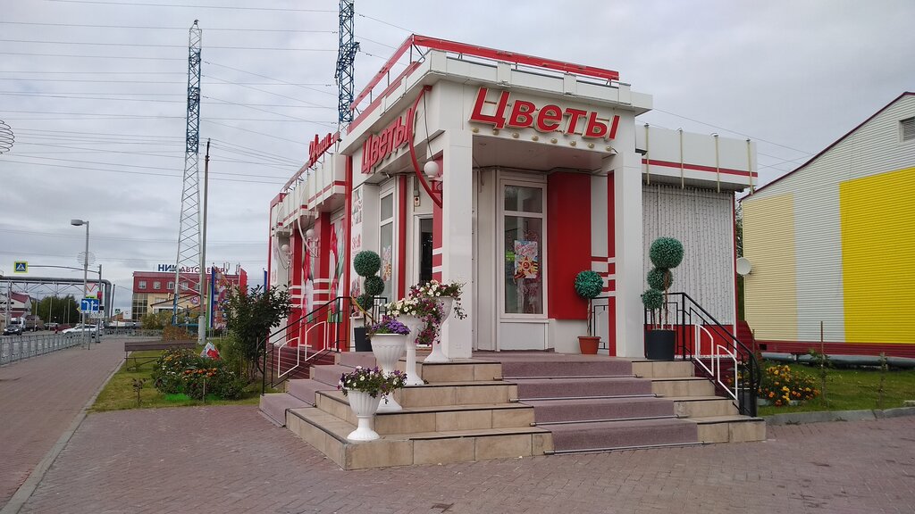 Çiçekçiler Цветы 24, Gubkinski, foto