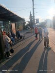 Звезда (Autonomous Republic of Crimea, Simferopol, Pobedy Avenue), toplu taşıma durağı  Simferopol'dan (Akmescit'ten)