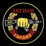 Легион Гарант (Rostov-on-Don, Mechnikova Street, 112Г), security company  Rostov‑na‑Donu'dan