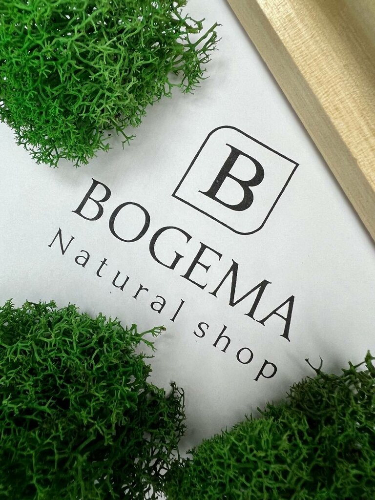 Mühürlerin ve pulların Ideal Stamp, Moskova, foto