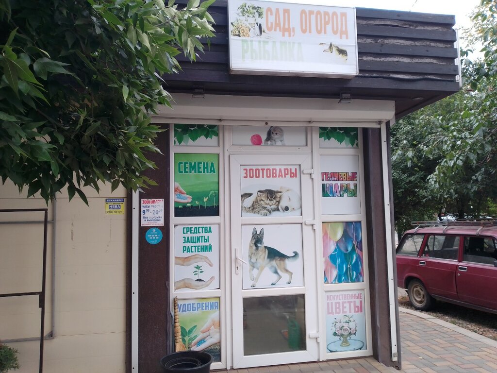 Yapay bitki ve çiçek Искуственные цветы, Krasnodarski krayı, foto