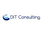 Dit Consulting LLC (Udelniy Avenue No:5), yazılım firmaları  Saint‑Petersburg'dan