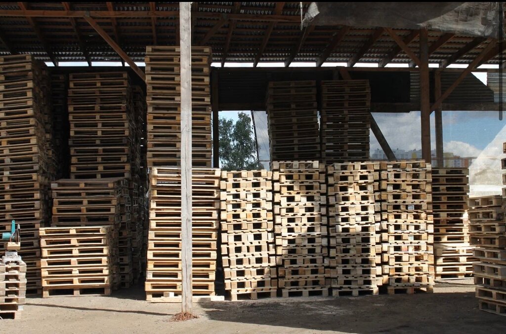 Paletler Palletdom, Vidnoye, foto