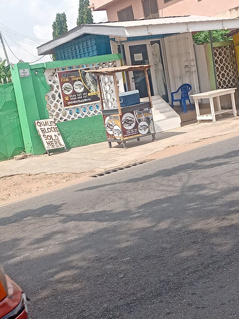 Anaokulları Great Provider Fish Tilapia, Akra, foto