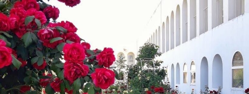 Otel Del Mar, Kırım Cumhuriyeti, foto