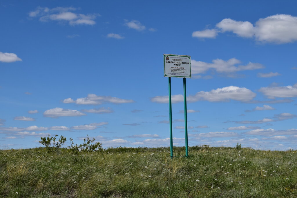 Doğa Ландшафтно-геологический памятник природы Старо-Ордынский овраг, Orenburgskaya oblastı, foto