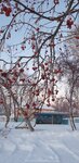 Детский сад Черёмушки (ulitsa Mira No:4, selo Preobrazhenka), anaokulları  Novosibirskaya oblastından