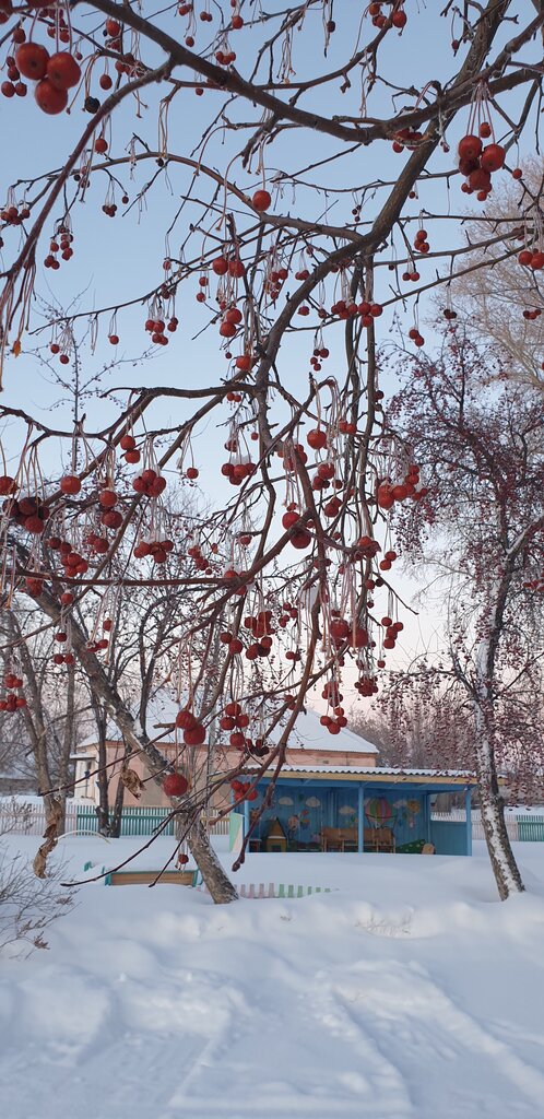 Anaokulları Детский сад Черёмушки, Novosibirskaya oblastı, foto