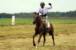 Dubai Equestrian Club (The Meydan, Nadd Al Shiba 1, Hadaeq Mohammed Bin Rashid, Dubai), at ve binicilik kulüpleri  Dubai'den