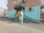 Qiwi (No:18, 408-shi oram), ödeme terminali  Semey'den