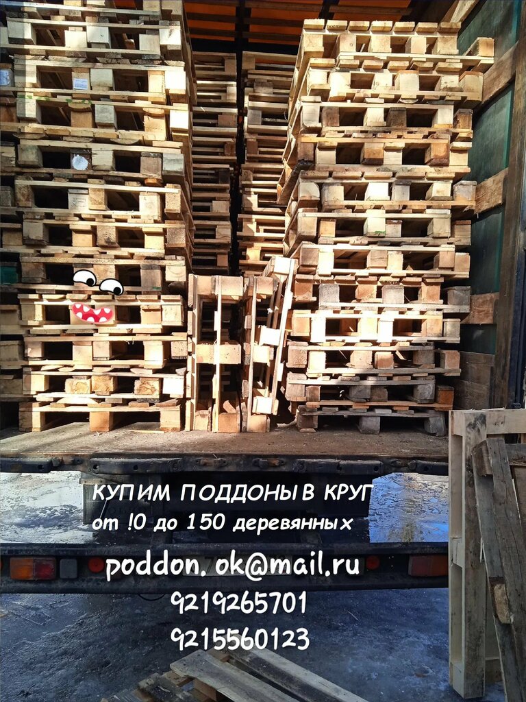 Paletler Poddony, Saint‑Petersburg, foto