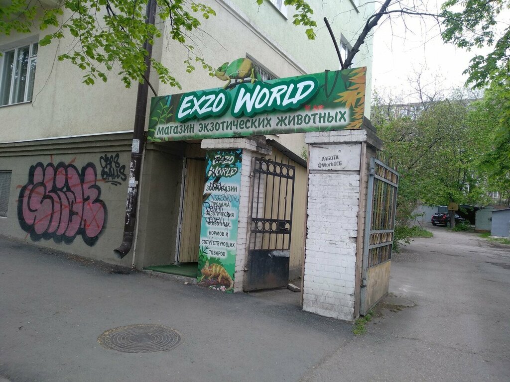 Petshop Exzo World, Pyatigorsk, foto