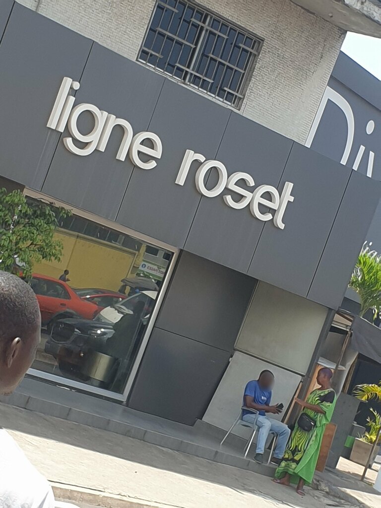 Mobilya mağazaları Ligne Roset, Abican, foto