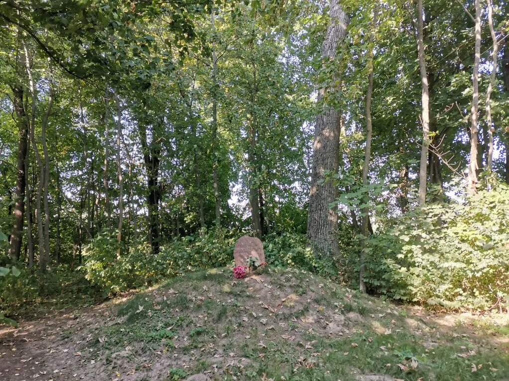 Anıt levhası, anıt taş Памятный камень панам Чарноцким, Brestskaya oblastı, foto