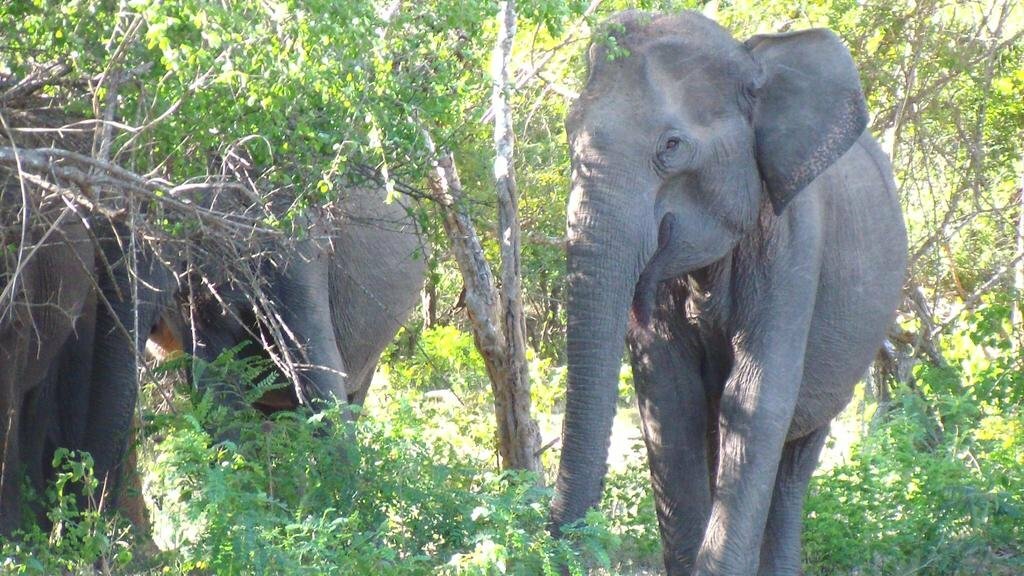 Otel V Cabanas, , foto