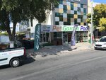 Pgp concept (75. Yıl Cumhuriyet Cad., No:107, Urla, İzmir), petshop  Urla'dan