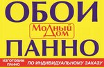 Modny Dom (ulitsa Pushkina No:39к77), duvar kağıdı mağazaları  Voljski'den