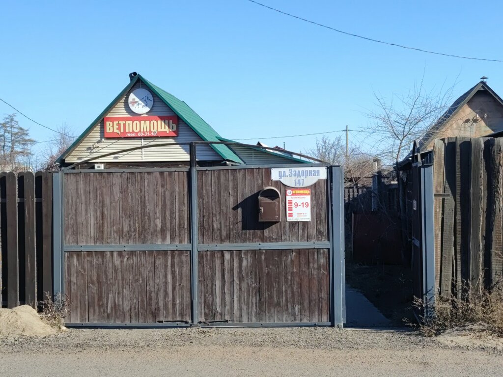 Veteriner klinikleri Vet Help, Ulan‑Ude, foto