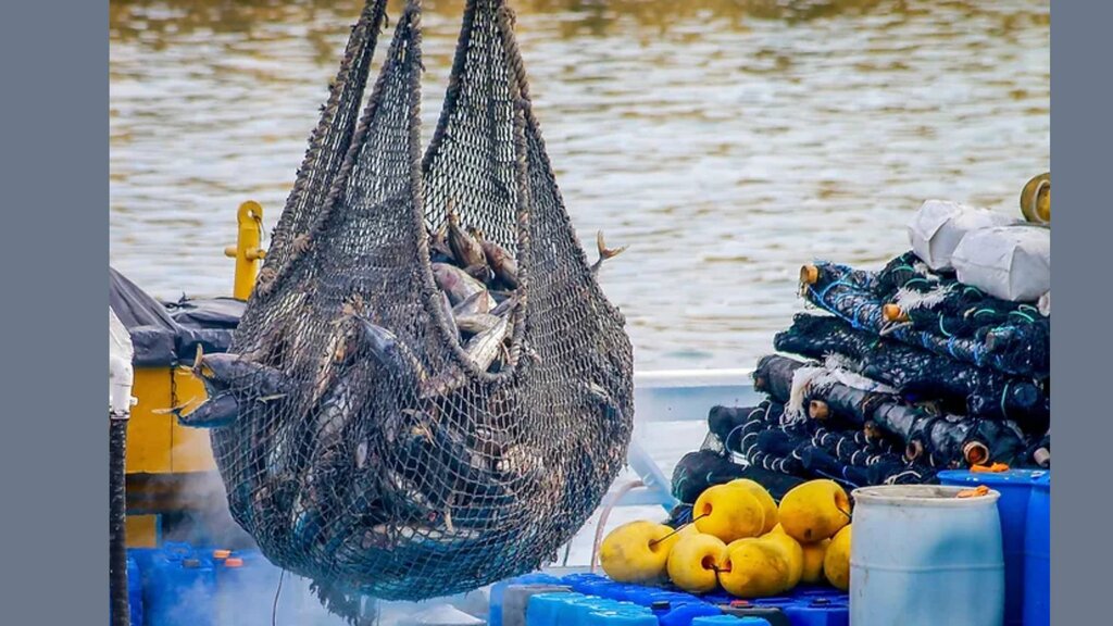 Restoran Pescaderia del Puerto, Bahia Blanca, foto