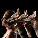 Kennel Rkf Severnaya Sonata (Cherkasova Street No:4к1), evcil hayvan yetiştiricileri  Saint‑Petersburg'dan