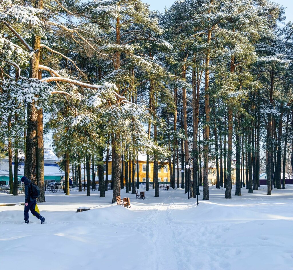Kültür ve eğlence parkları Сосновый парк, Vologodskaya oblastı, foto