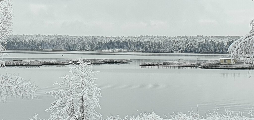Helikopter pisti вертолётная площадка Озеро Вельё, Novgorodskaya oblastı, foto