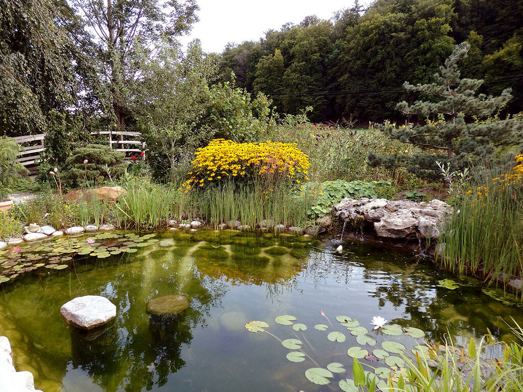 Peyzaj tasarımı Zimmermann Gartenbau AG, Aarau, foto