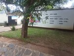 Bumpbirth (Lusaka, Silwizya, Omelo Road, 5), tohum üretimi  Zambiya'dan
