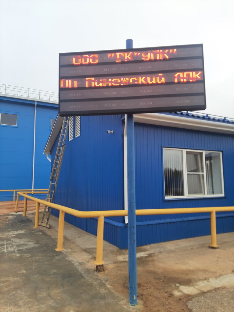 Kerestecilik, ağaç satışı ГК Улк Пинежский леспромхоз, Arhangelskaya oblastı, foto