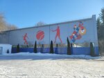 Крытый теннисный корт ЦСК ВМФ (Leningradskoye Highway No:25Ас2), tenis kortu  Moskova'dan