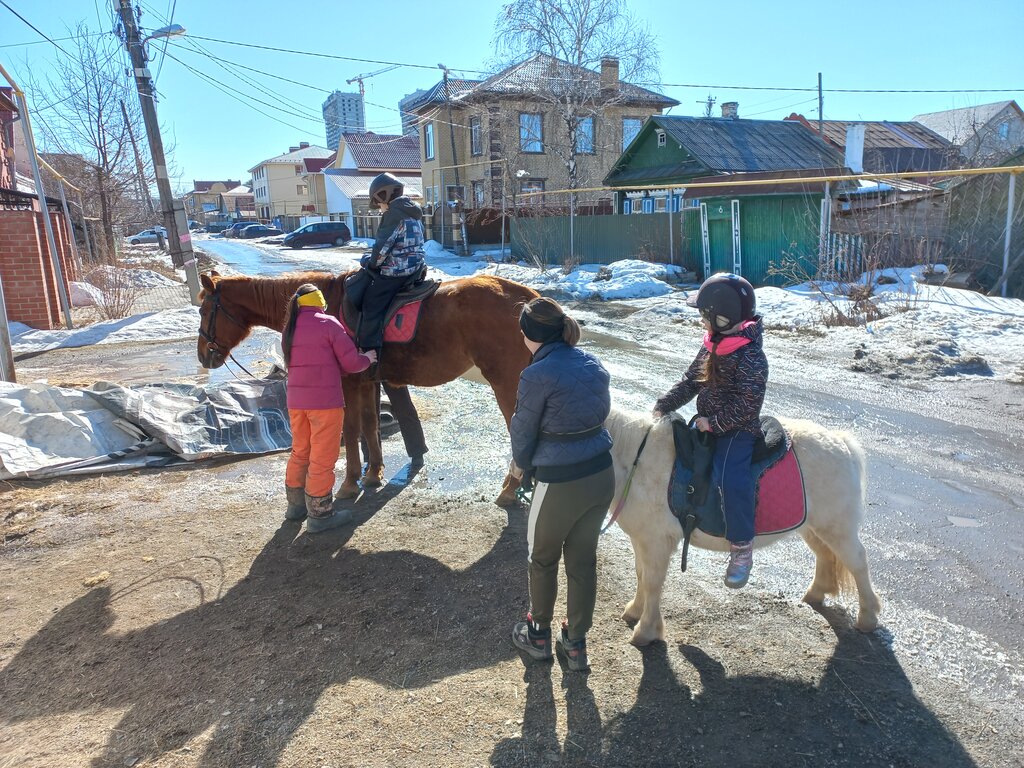 At ve binicilik kulüpleri Konny klub Faktor, Yekaterinburg, foto
