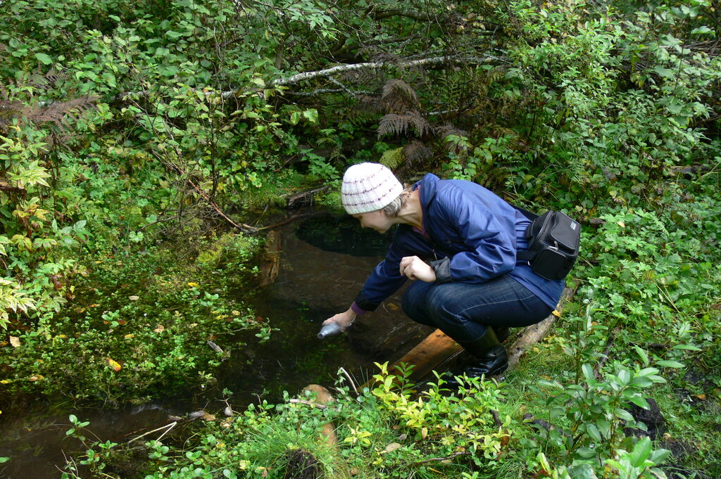 Pınar, çay Spring, stream, Vologodskaya oblastı, foto