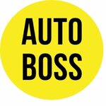 Autoboss (Promyshlennaya Street No:101Б), otomobil yedek parçaları  Perm'den