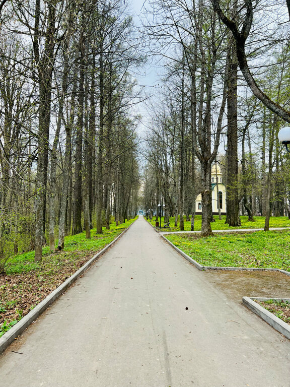 Turistik yerler Руины усадьбы Дугино, Smolenskaya oblastı, foto