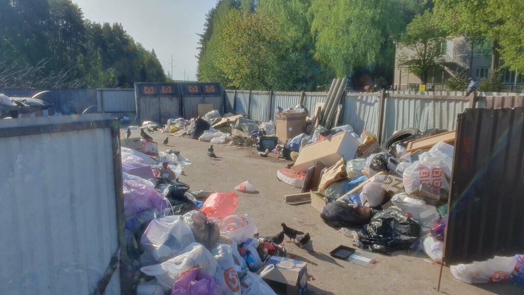 Çöp alanları Trash and garbage disposal area, Moskova, foto