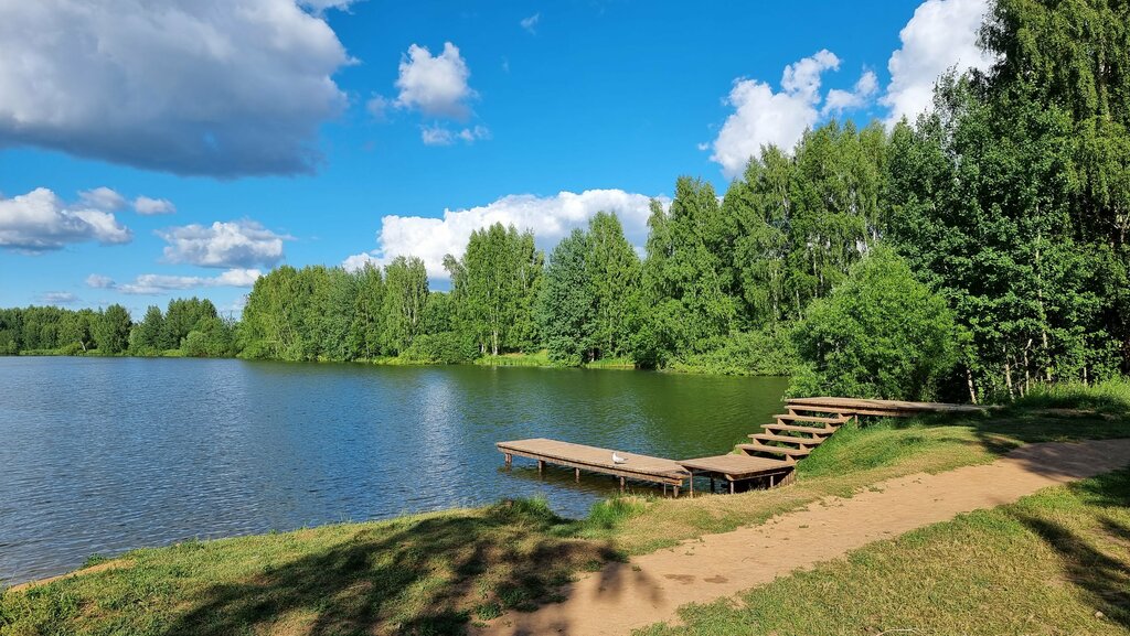 Piknik alanı Место для пикника, Moskova ve Moskovskaya oblastı, foto