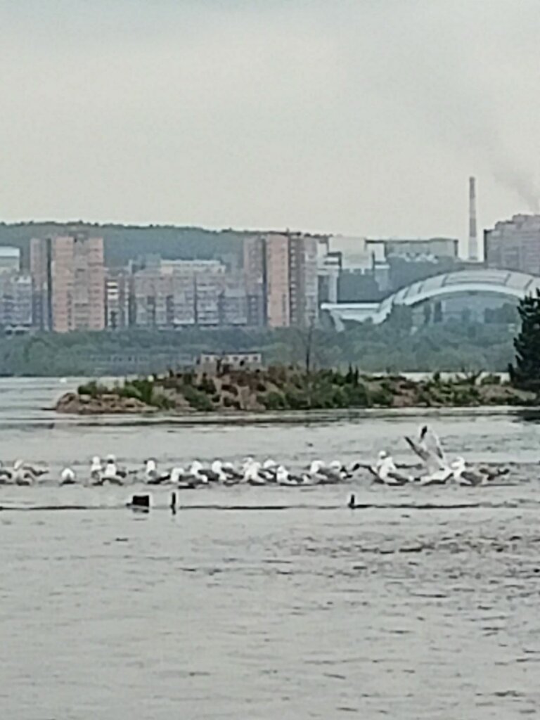 i̇skele Jetty, Irkutsk, foto