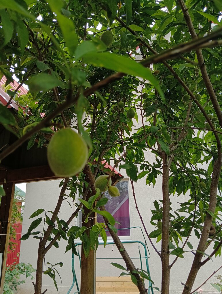 Market Лазурный, Krasnodar, foto