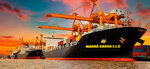 Manna Cargo (3B, Airport Street, Deira, Dubai), deniz taşımacılığı  Dubai'den
