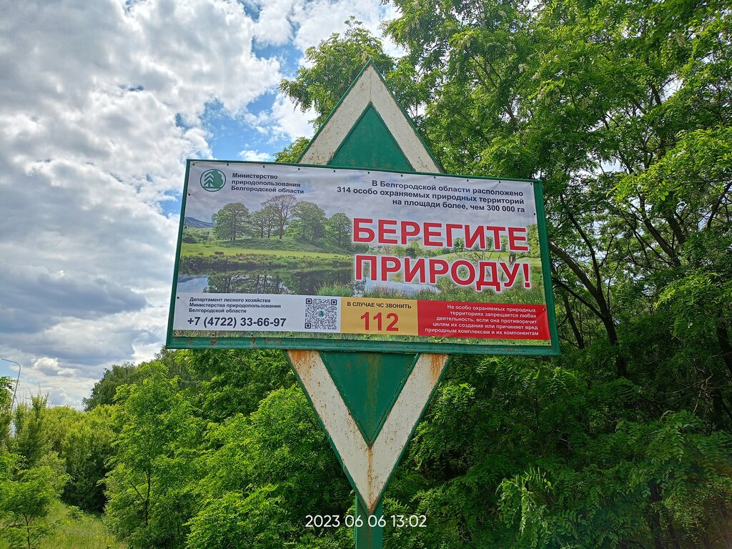 Orman урочище Махрин Лог, Belgorodskaya oblastı, foto