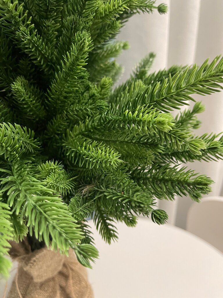 Çocuk oyunları ve oyuncakları Хэппиленд, Moskova, foto