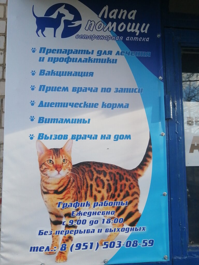 Veteriner eczaneleri Лапа помощи, Krasny Sulin, foto