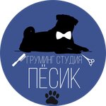 Pesik (Akademika Lavrentyeva Street No:8А), evcil hayvan kuaförleri  Kazan'dan